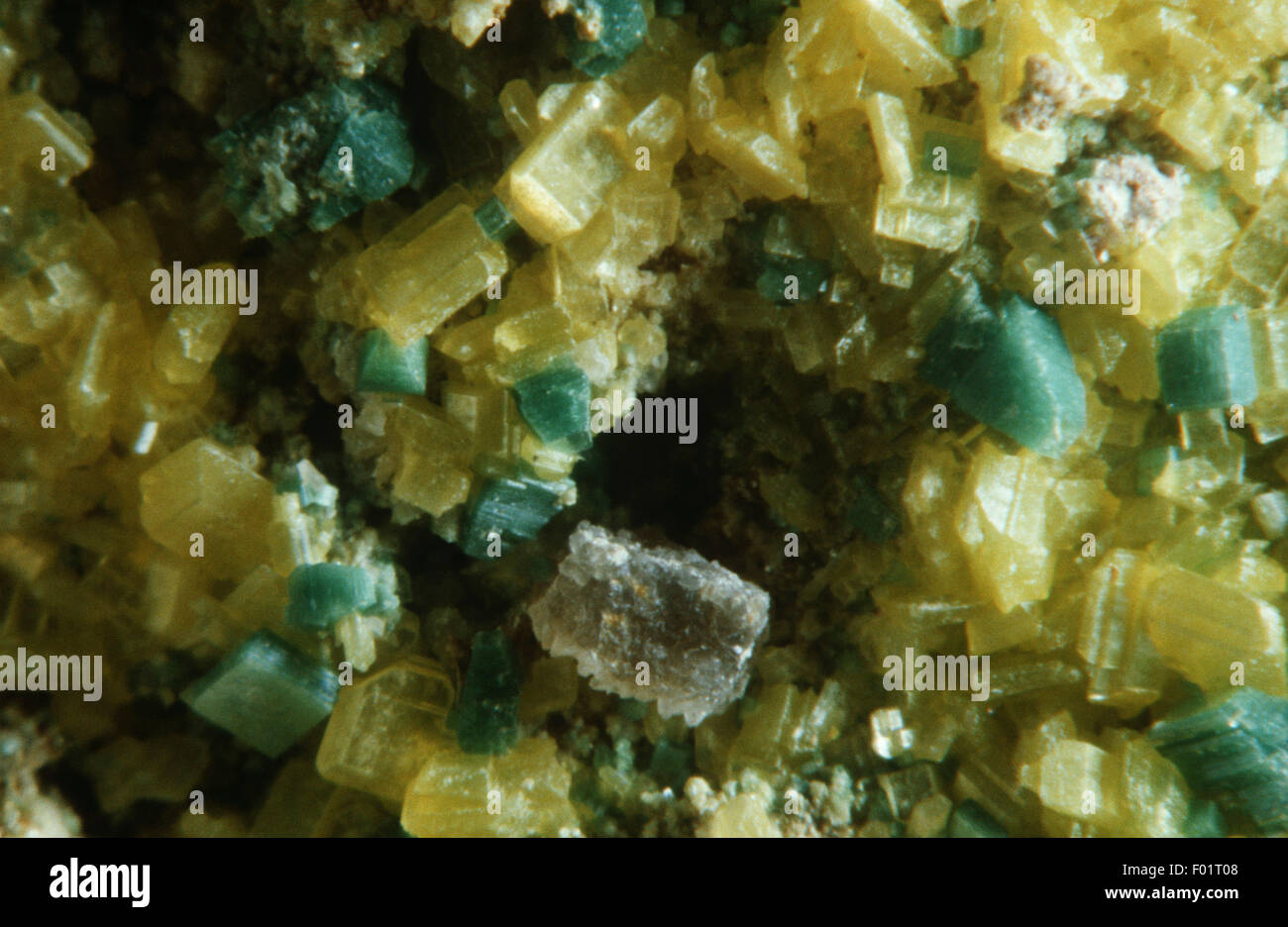Metatorbernite High Resolution Stock Photography and Images - Alamy