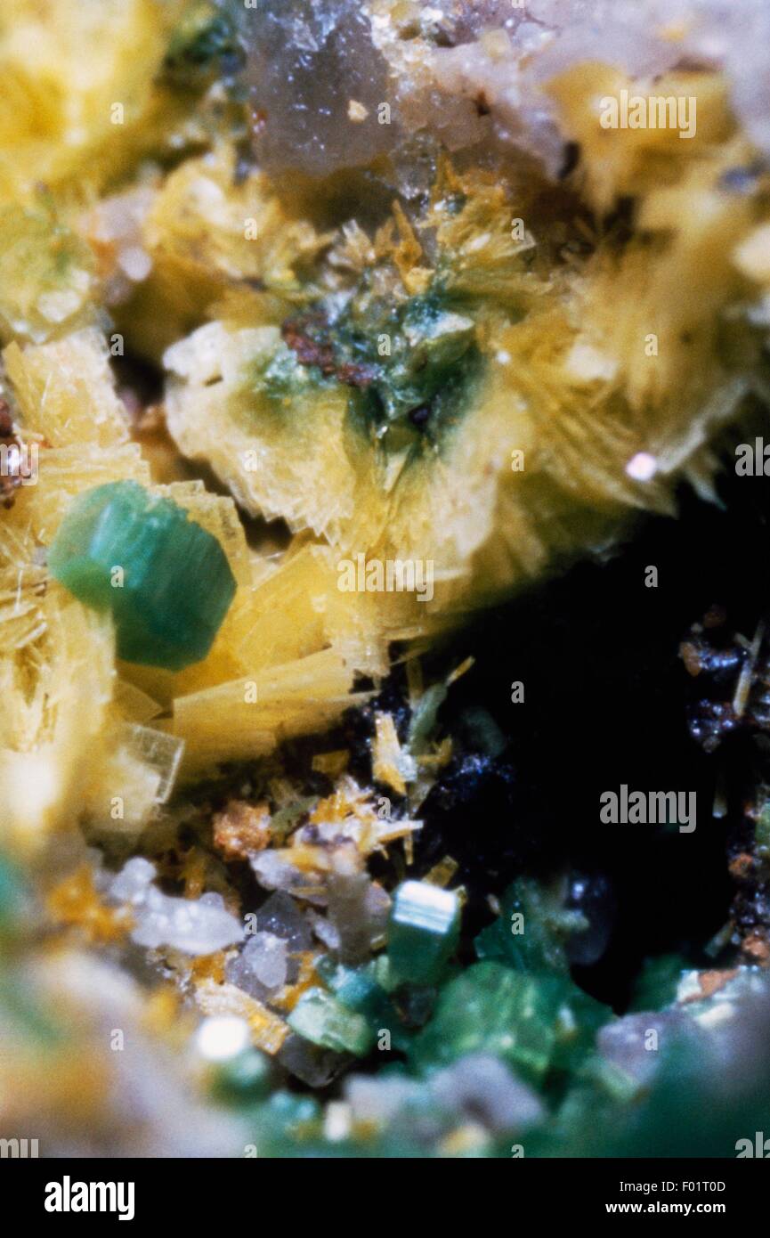 Radioactive phosphate mineral hi-res stock photography and images - Alamy