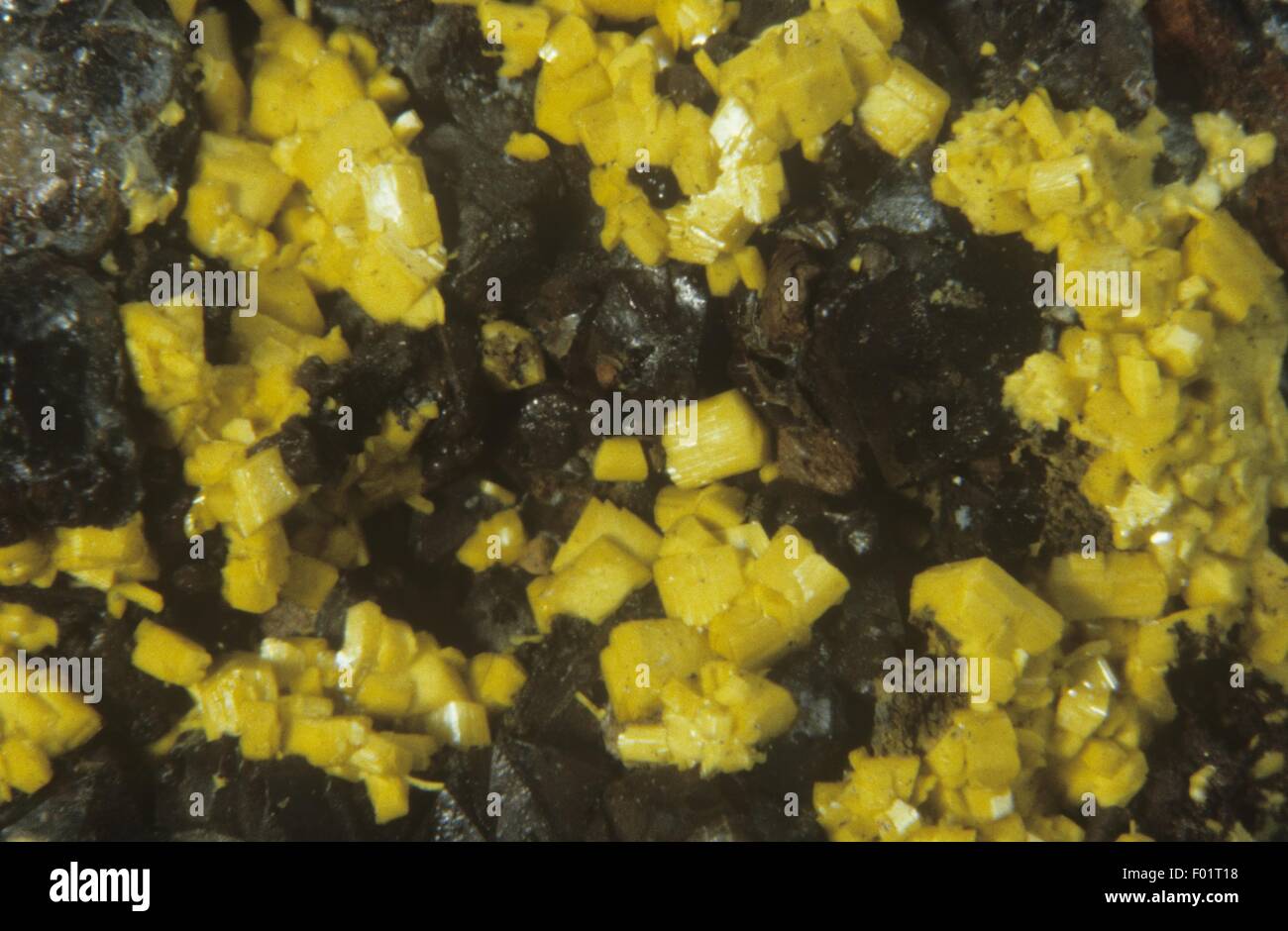 Soddyite hi-res stock photography and images - Alamy