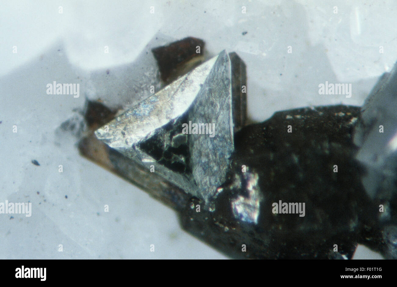 Minerals - Colusite Stock Photo - Alamy