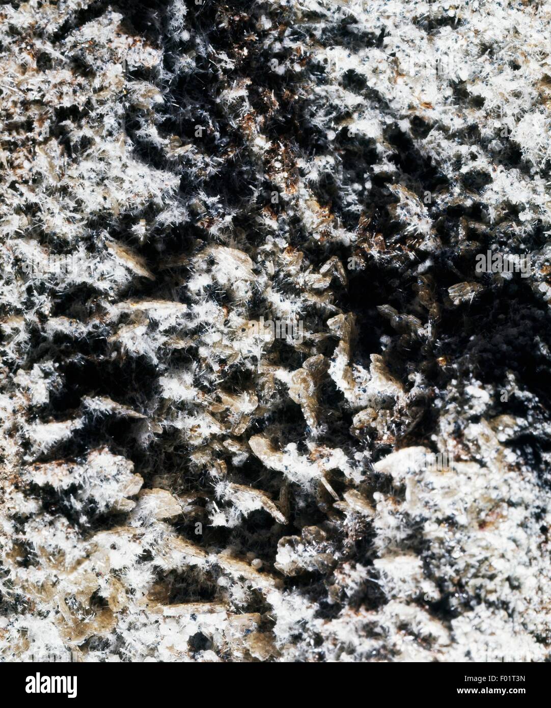 Geology melilite rock hi-res stock photography and images - Alamy