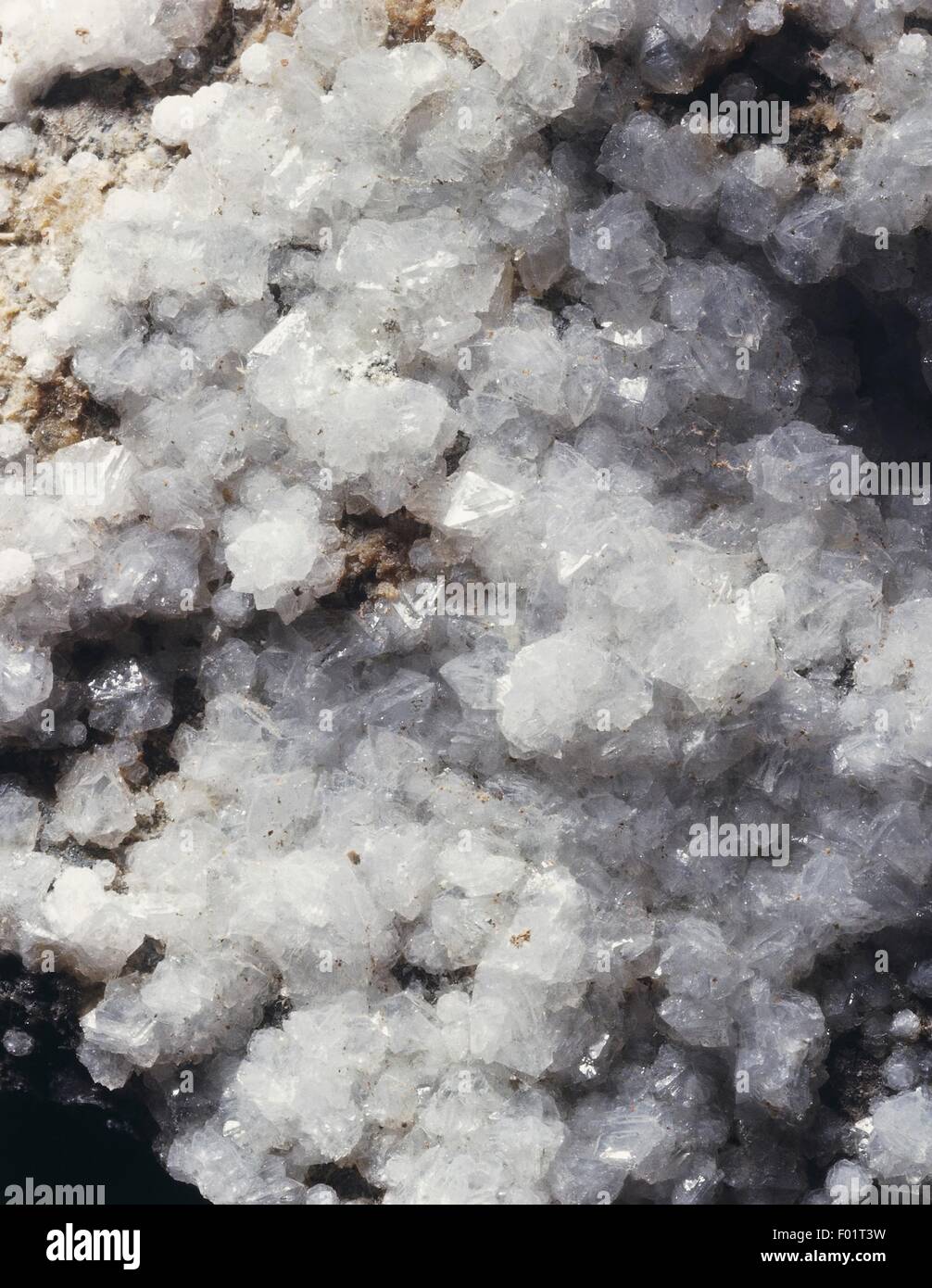 Gismondine hi-res stock photography and images - Alamy