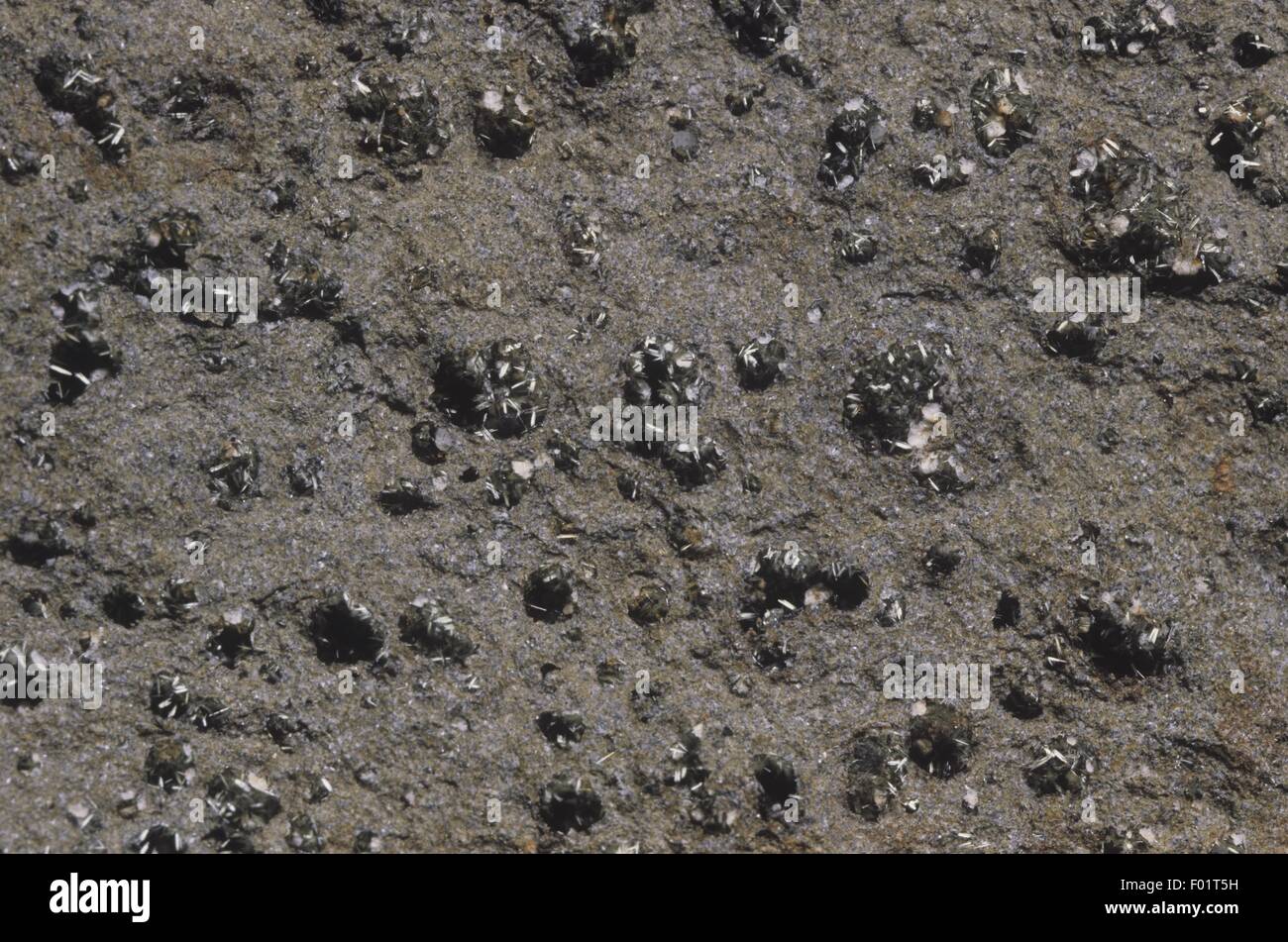 Amphibole minerals hi-res stock photography and images - Alamy