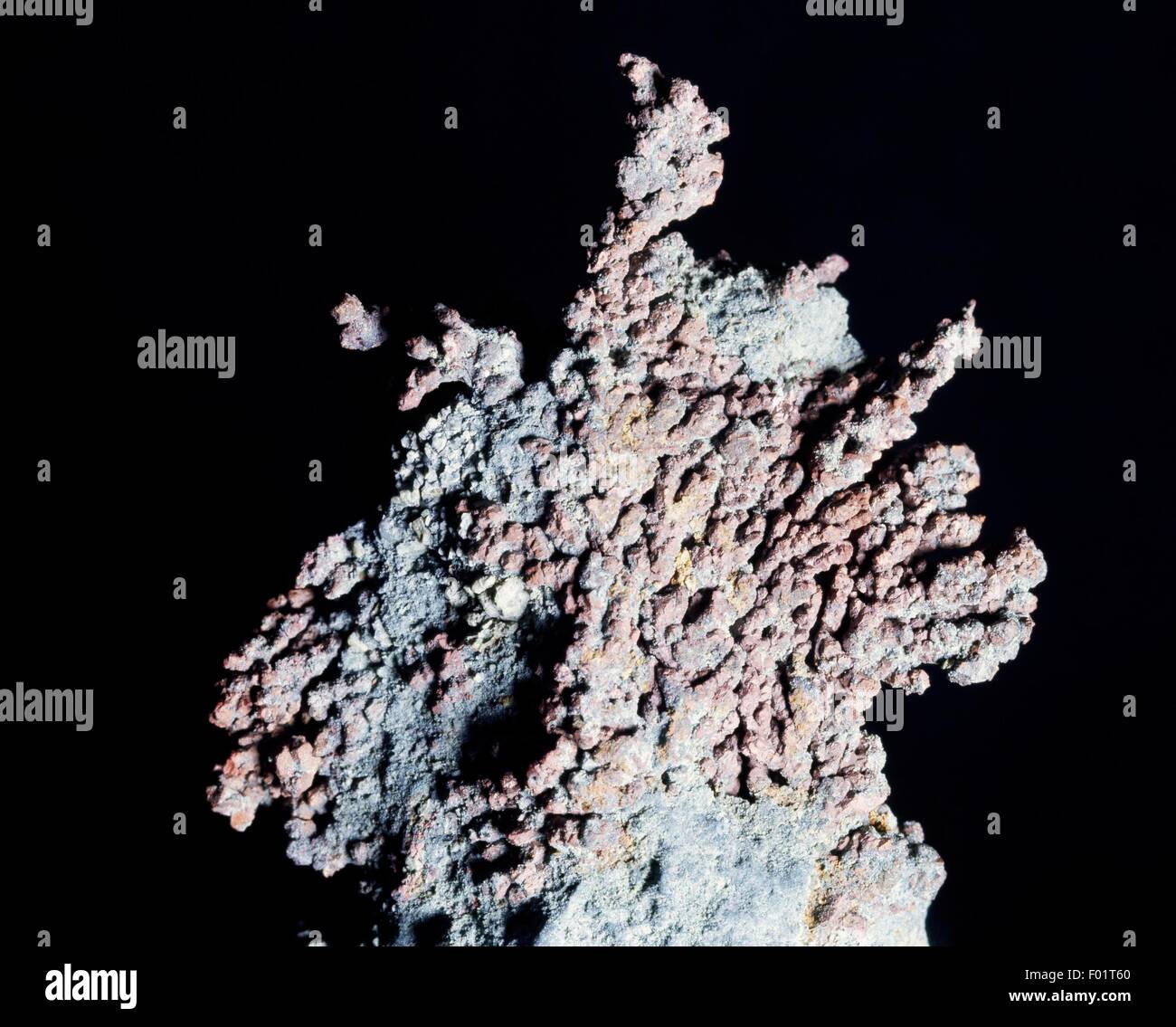 Copper element hi-res stock photography and images - Alamy