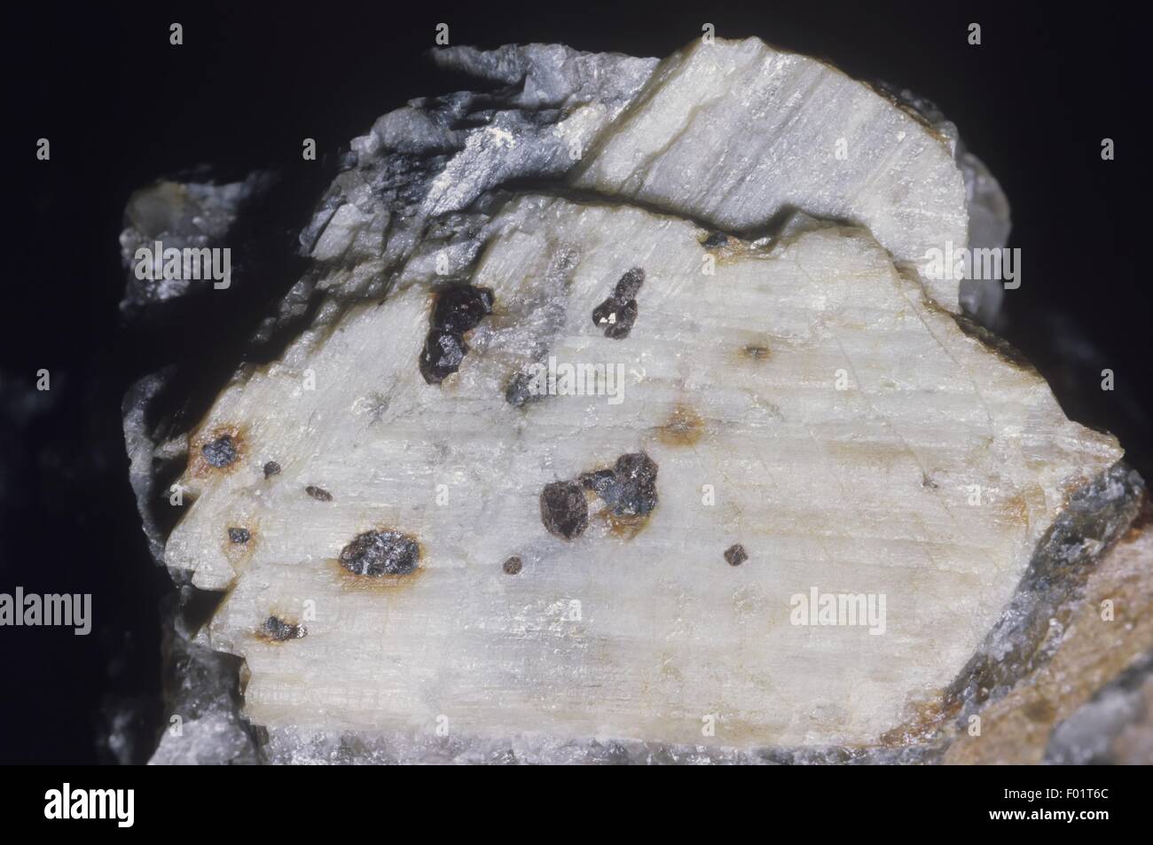 Minerals - Graftonite, close-up Stock Photo - Alamy