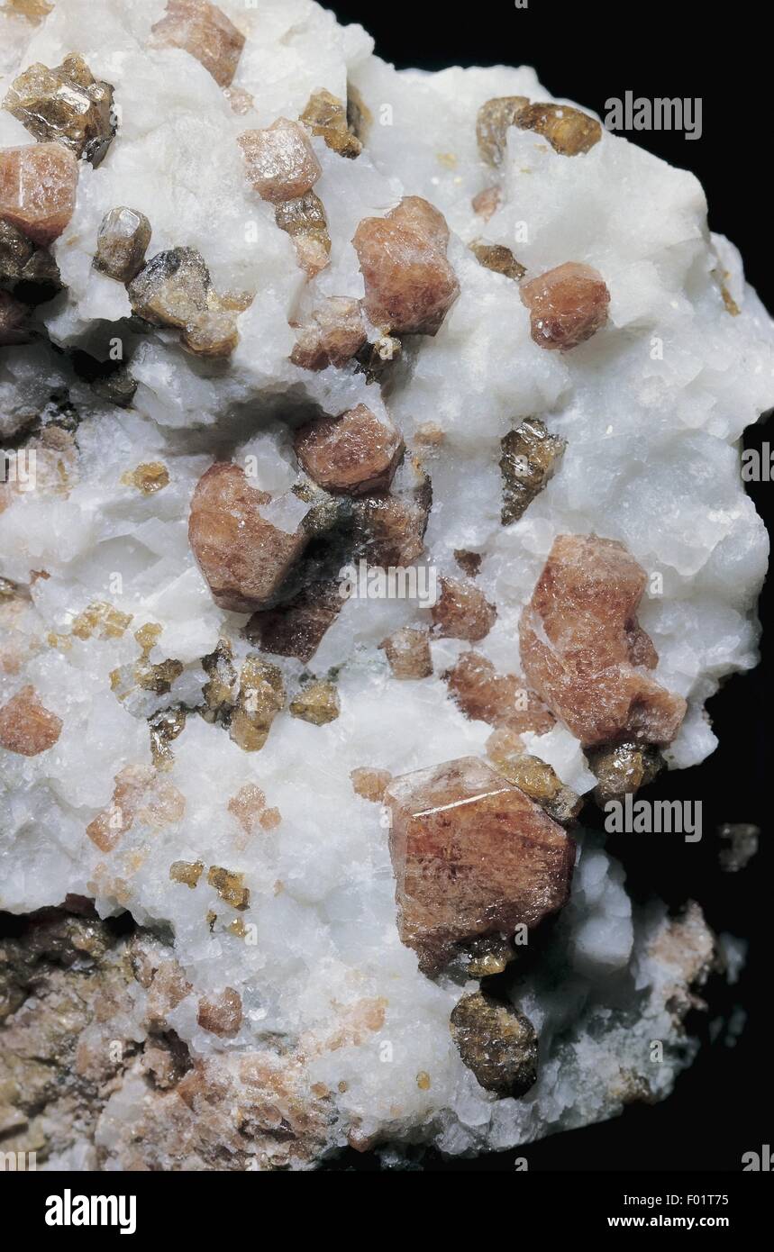 Vesuvian hi-res stock photography and images - Alamy