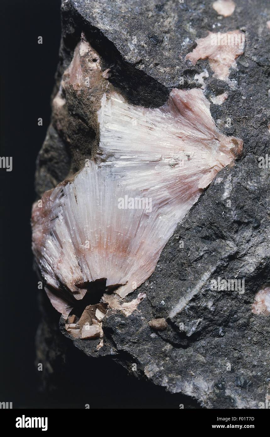 Minerals: Pink Natrolite (Hydrated Sodium Aluminum Silicate Stock Photo ...