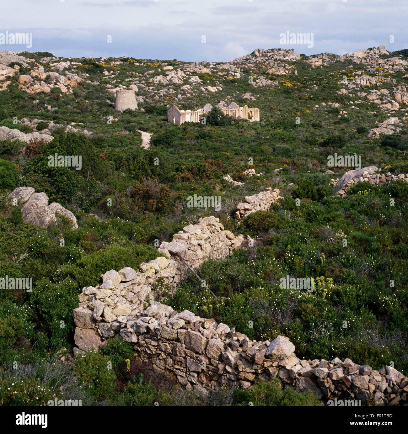 Remains of military buildings amongst the vegetation, Caprera Island ...