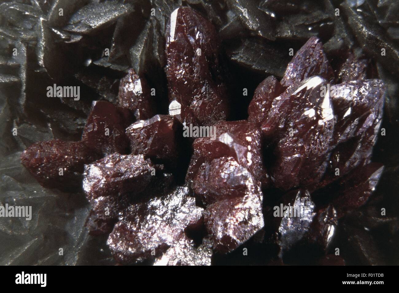Sulfide minerals hi-res stock photography and images - Alamy