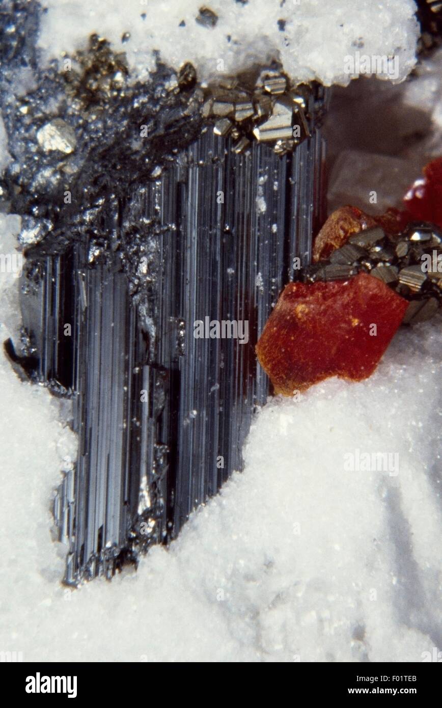 Sartorite hi-res stock photography and images - Alamy