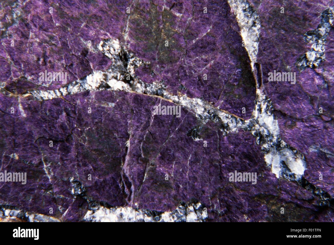 Purpurite hi-res stock photography and images - Alamy