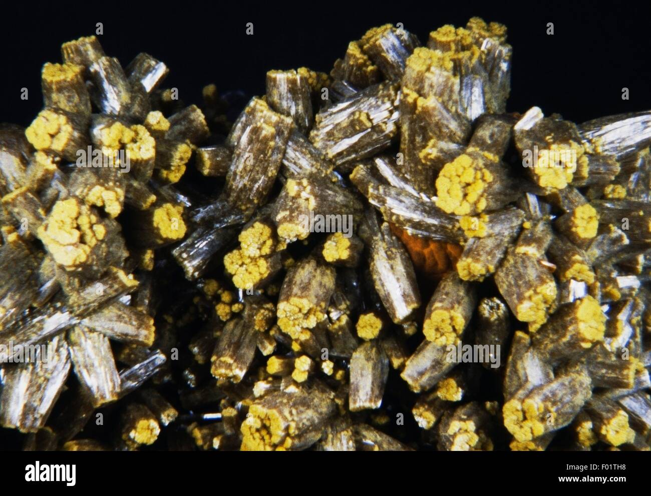 Pyromorphite hi-res stock photography and images - Alamy