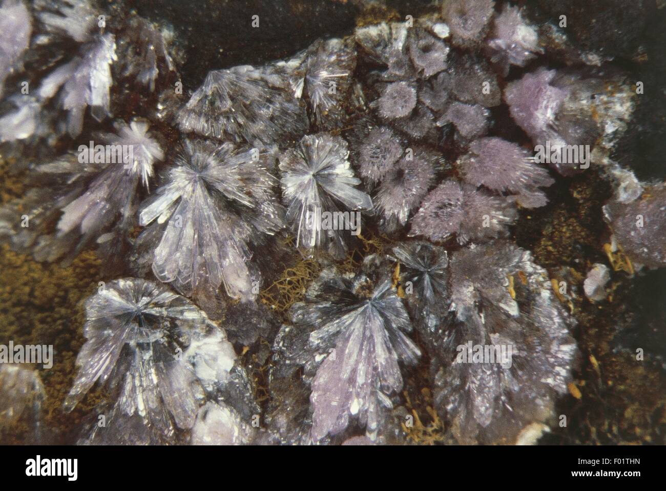 Minerals: Strengite (Hydrated Iron Phosphate Stock Photo - Alamy