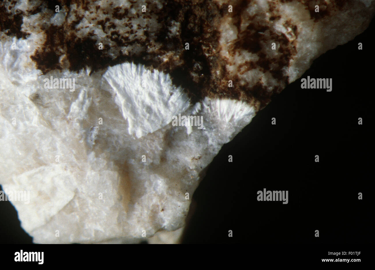 Minerals - Moraesite Stock Photo - Alamy
