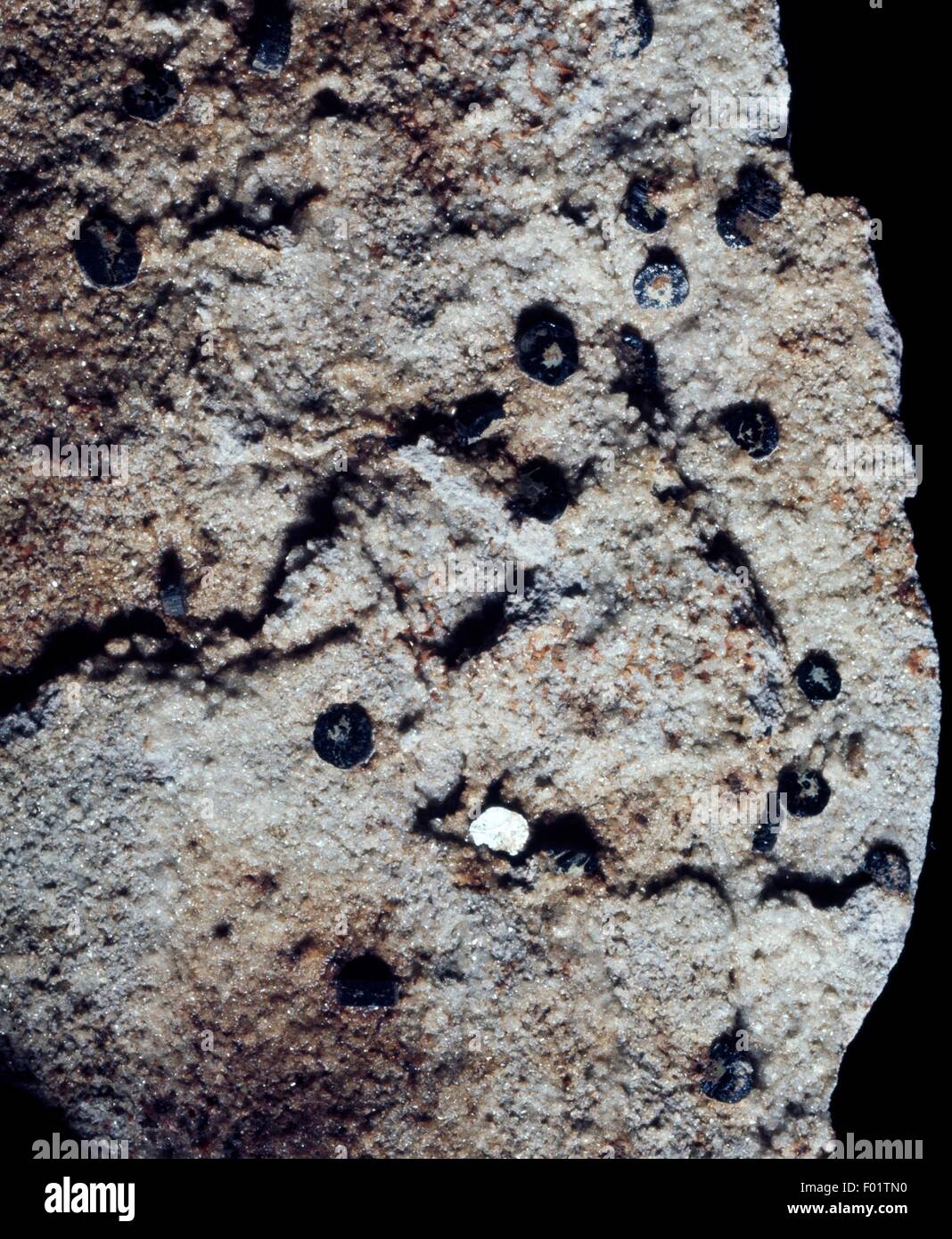 Tridymite hi-res stock photography and images - Alamy