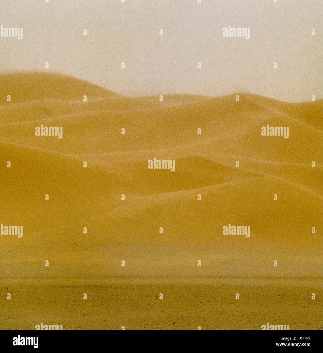 Sandstorm in the Sahara Desert, Algeria Stock Photo - Alamy