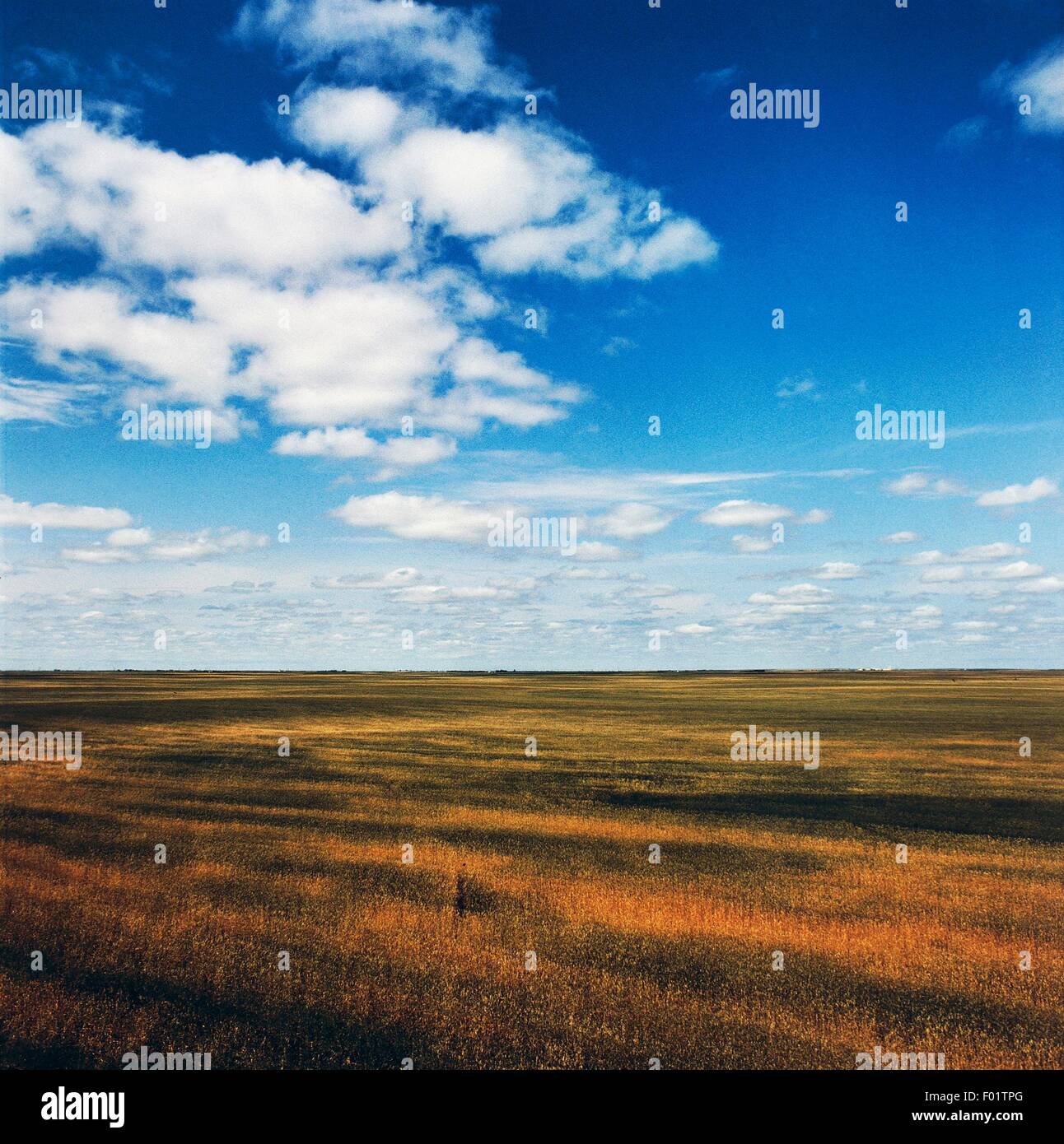 Prairie near Moose Jaw, Saskatchewan, Canada Stock Photo - Alamy