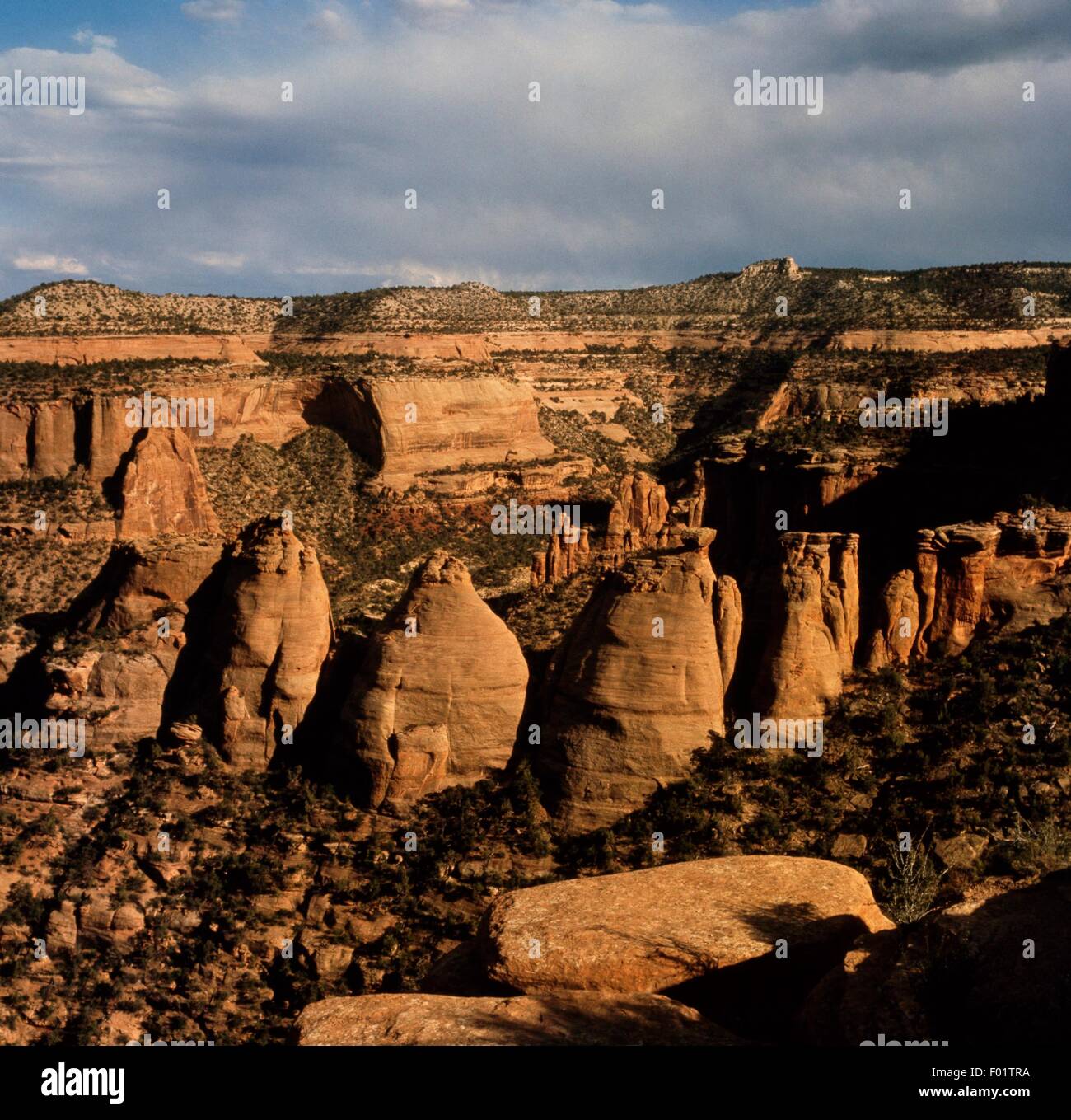 Rock monoliths and canyons in a semi-desert, Colorado National Monument ...