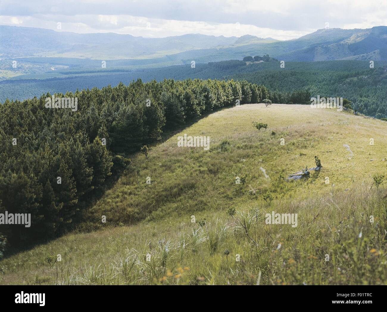 Landscape in swaziland africa hi-res stock photography and images - Alamy