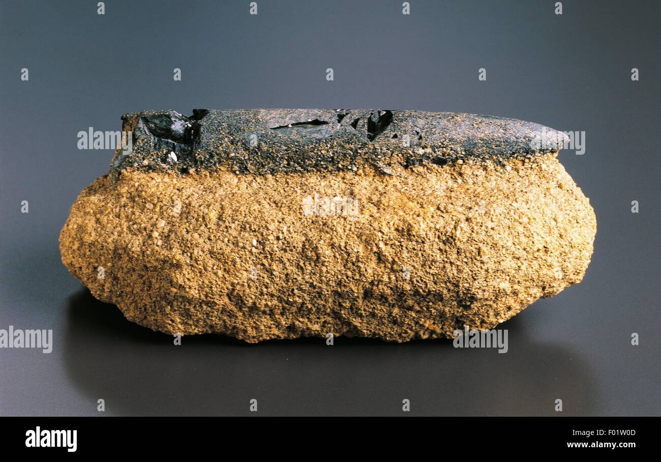 Belemnoid fossil, Cephalopoda Stock Photo - Alamy