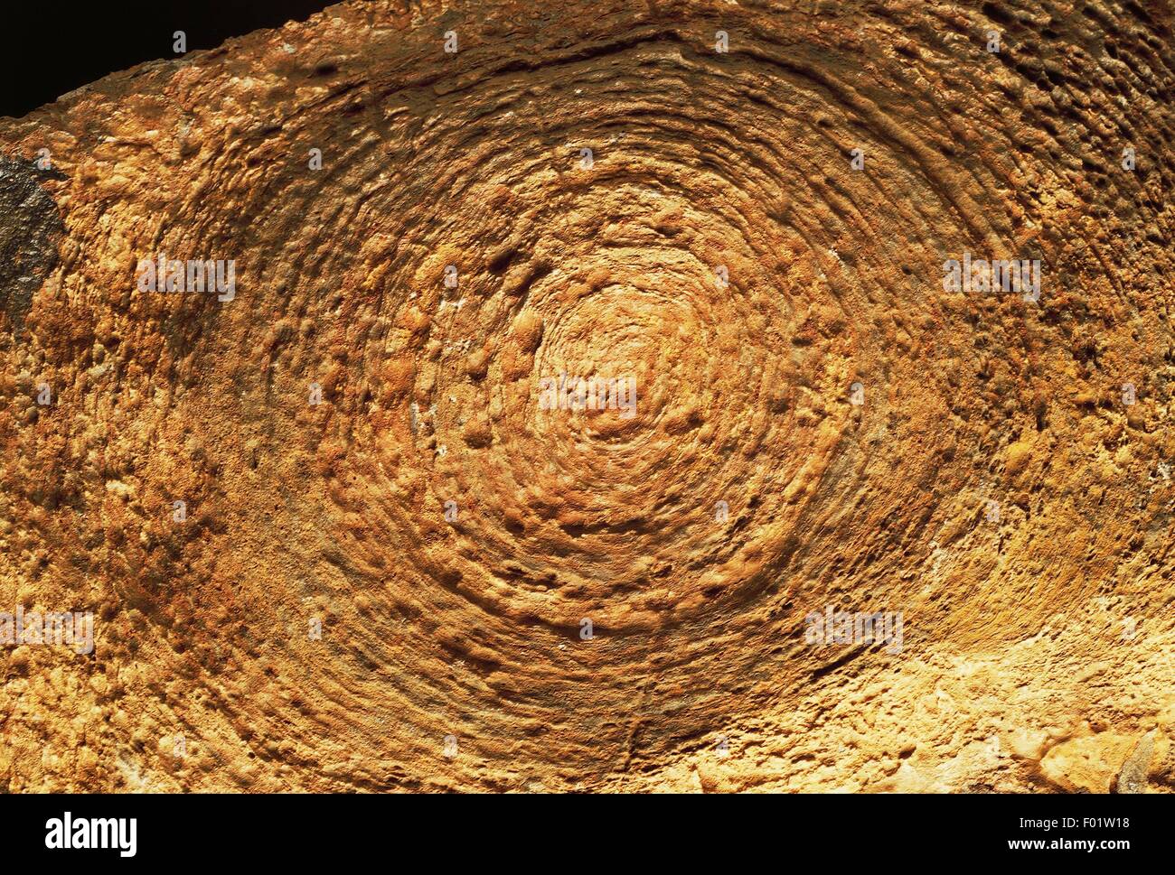 Precambrian era hi-res stock photography and images - Alamy