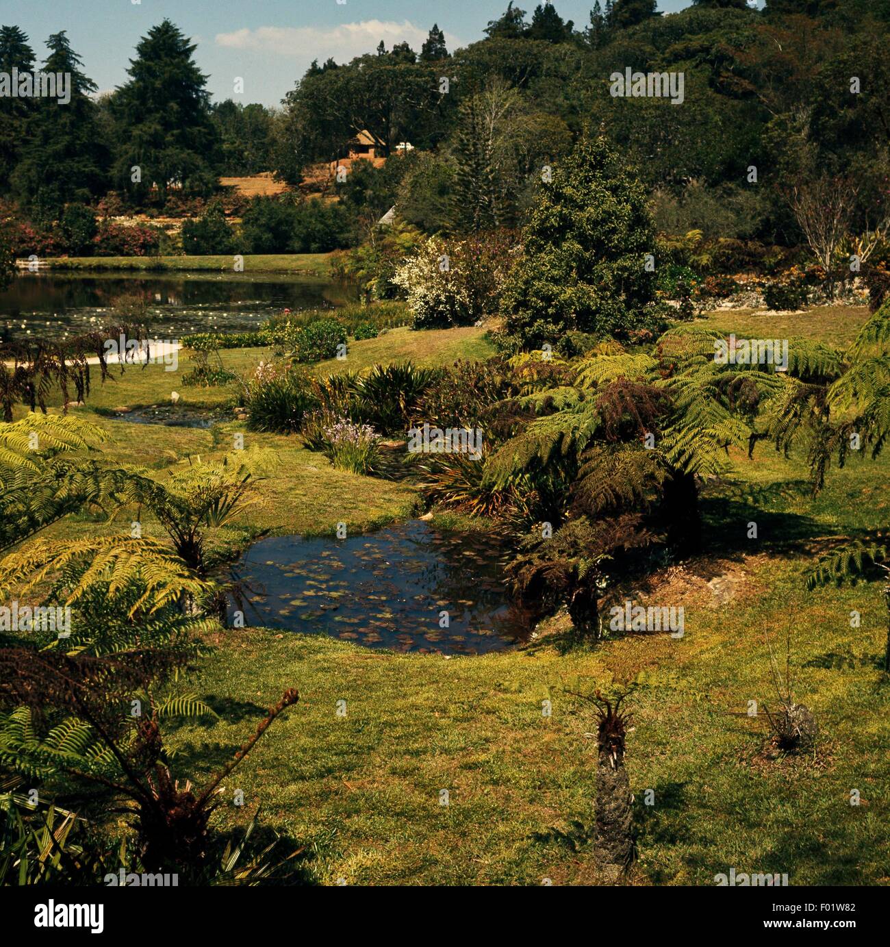 Vumba hi-res stock photography and images - Alamy