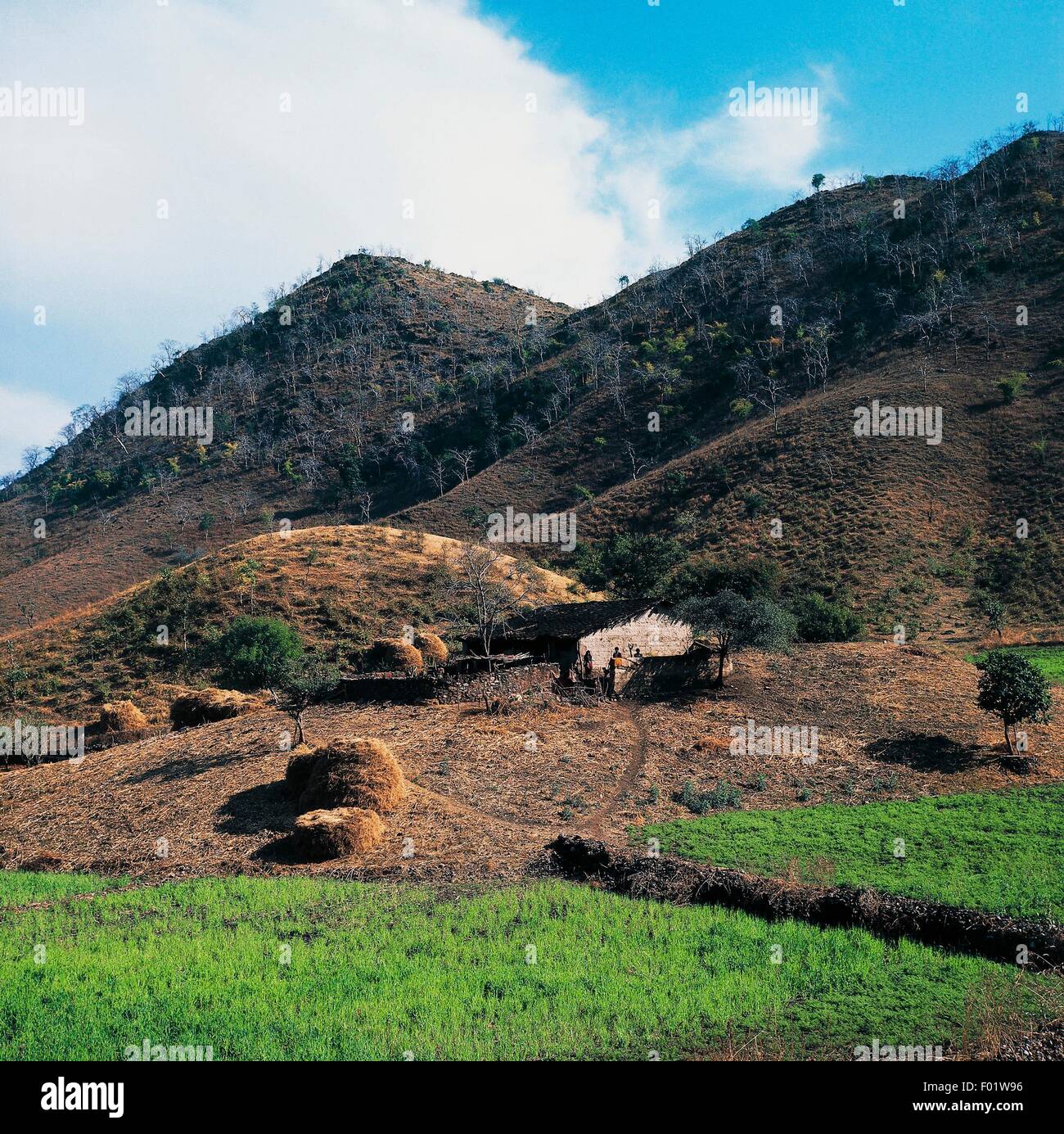 House on the Aravali Range, Rajastan, India Stock Photo - Alamy