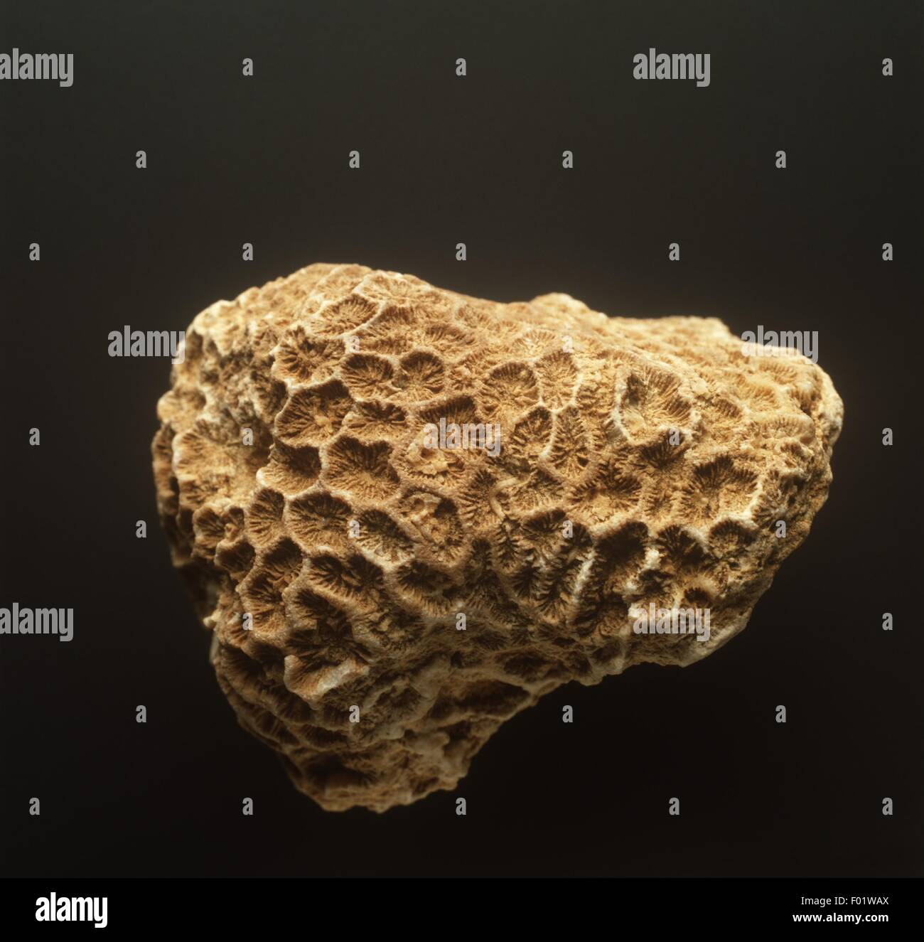 Converuissima hi-res stock photography and images - Alamy