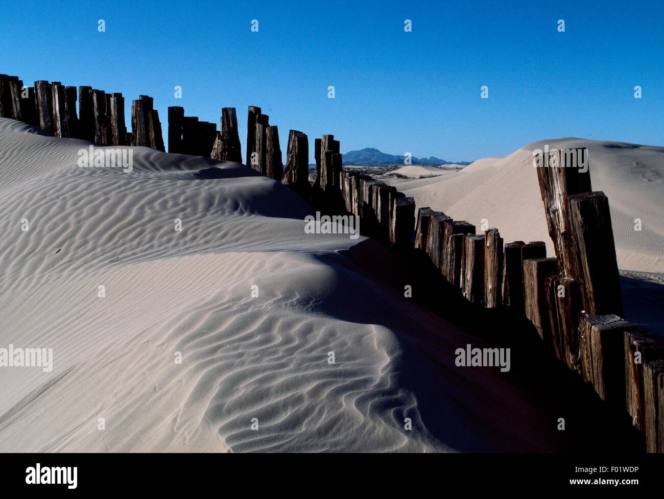 Sand dunes, Chihuahua Desert, Mexico Stock Photo - Alamy