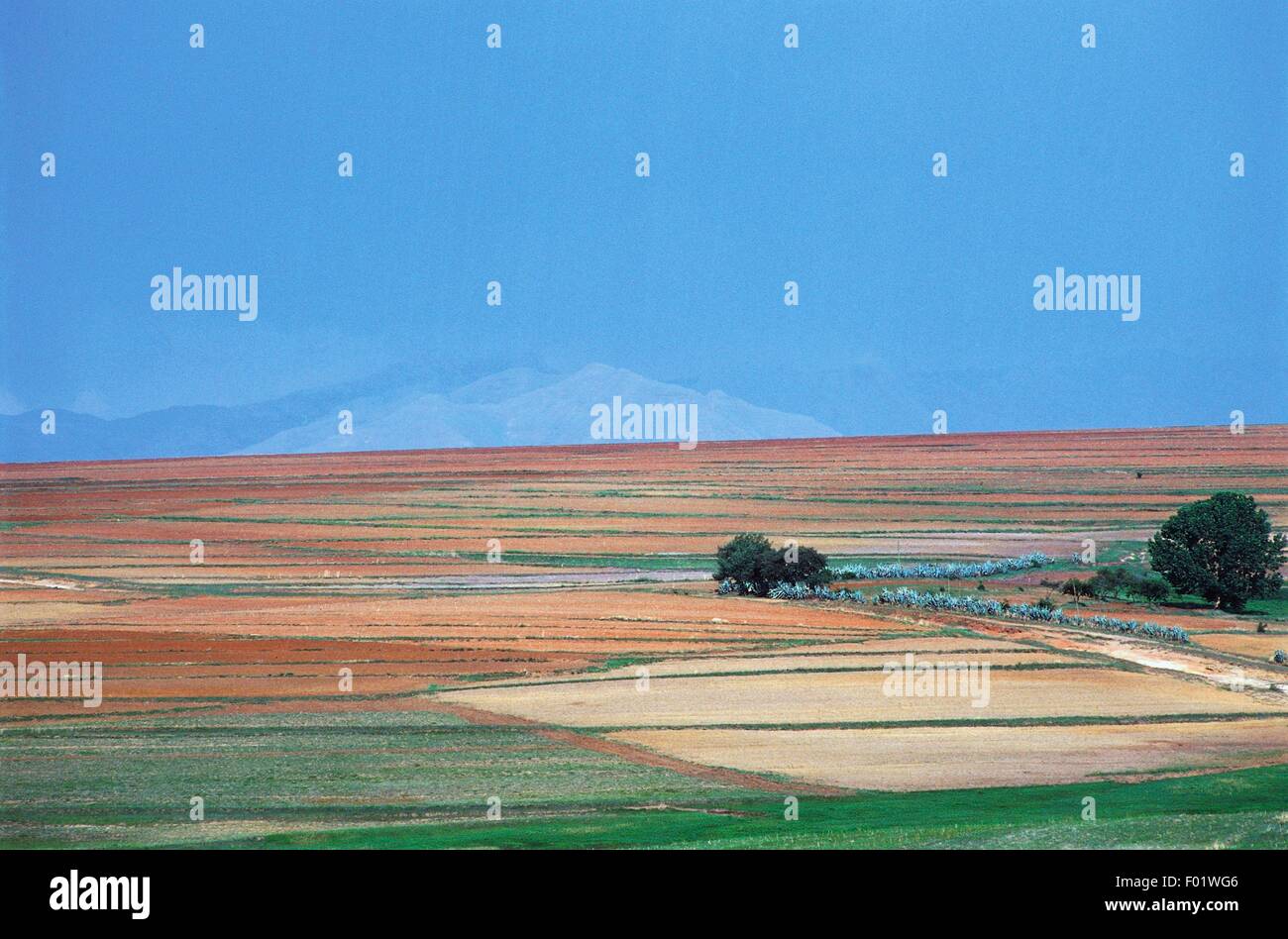 Leribe hi-res stock photography and images - Alamy