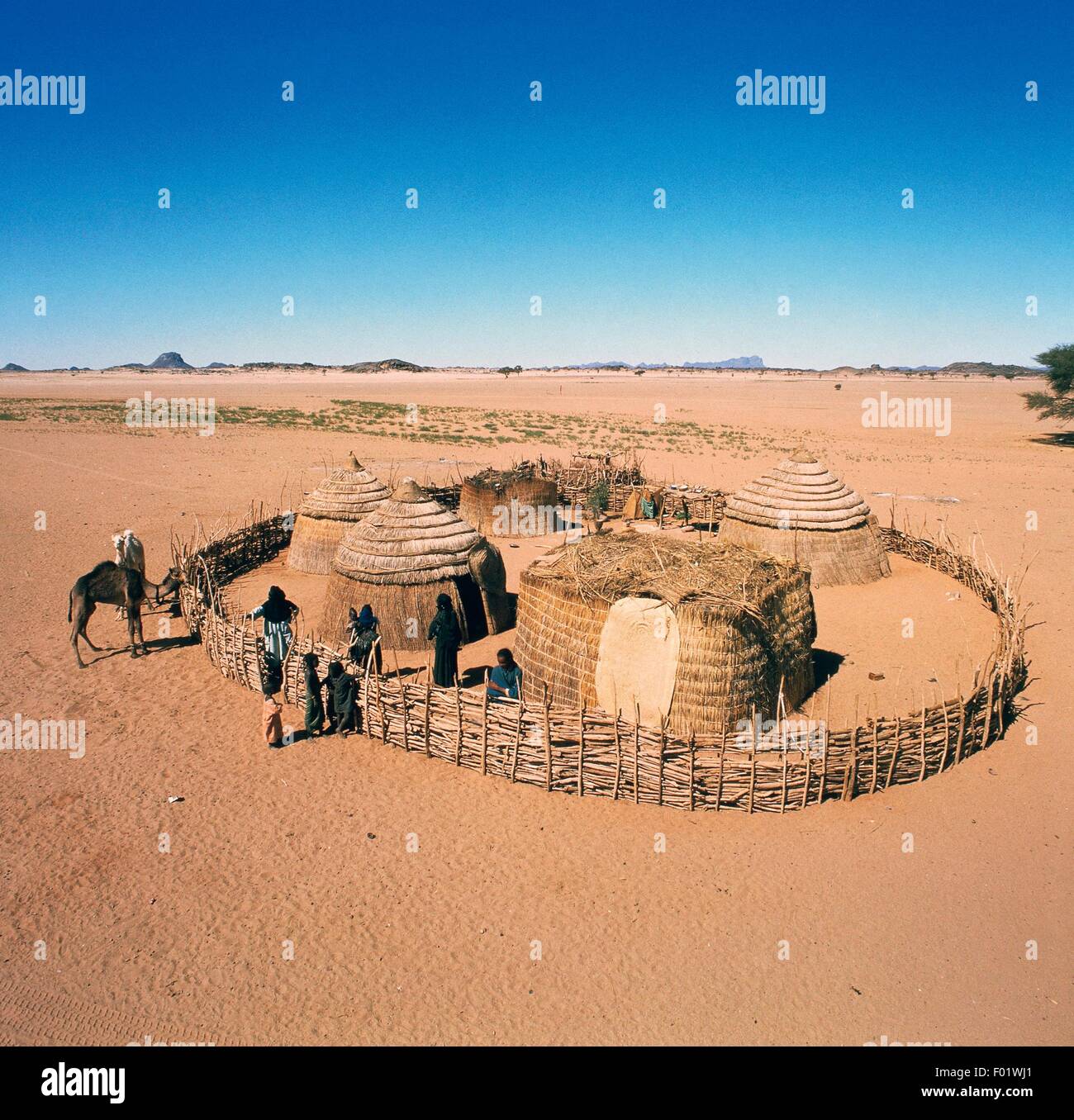 Tuareg huts in the Iferouan oasis, Sahara Desert, Niger Stock Photo - Alamy