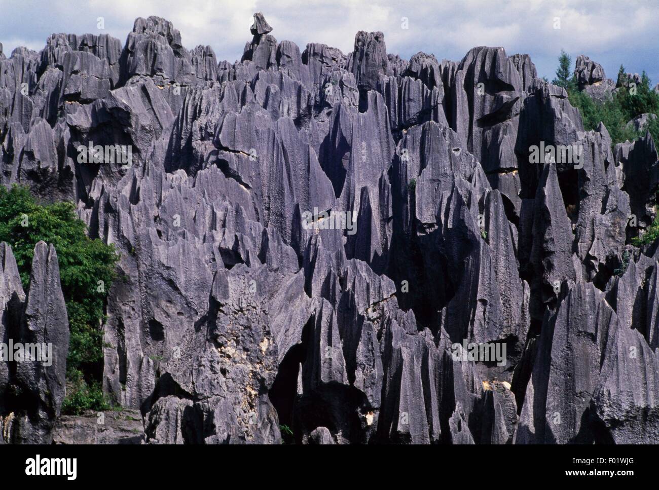Karst formations, Stone Forest (UNESCO World Heritage List, 1996 ...