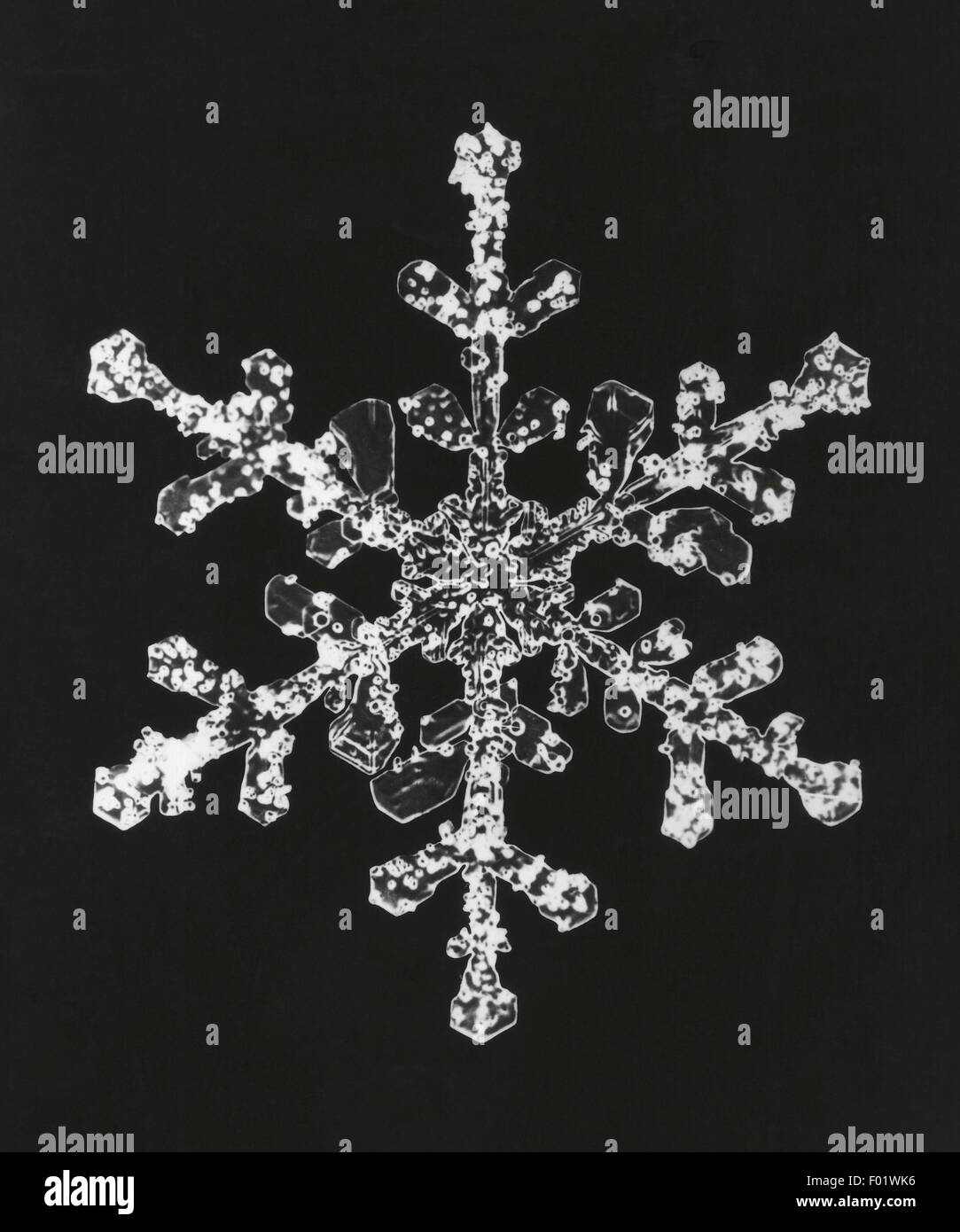 Meteorology: snowflake magnified under a microscope Stock Photo - Alamy