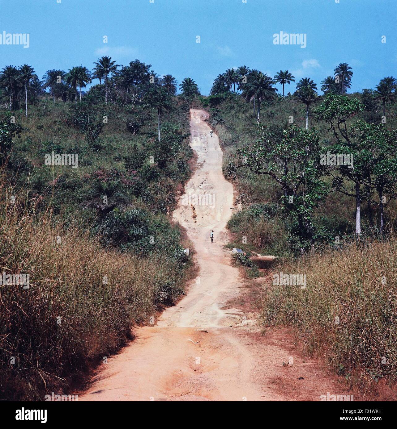 Forest track between Kailahun and Pendembu, Sierra Leone Stock Photo ...