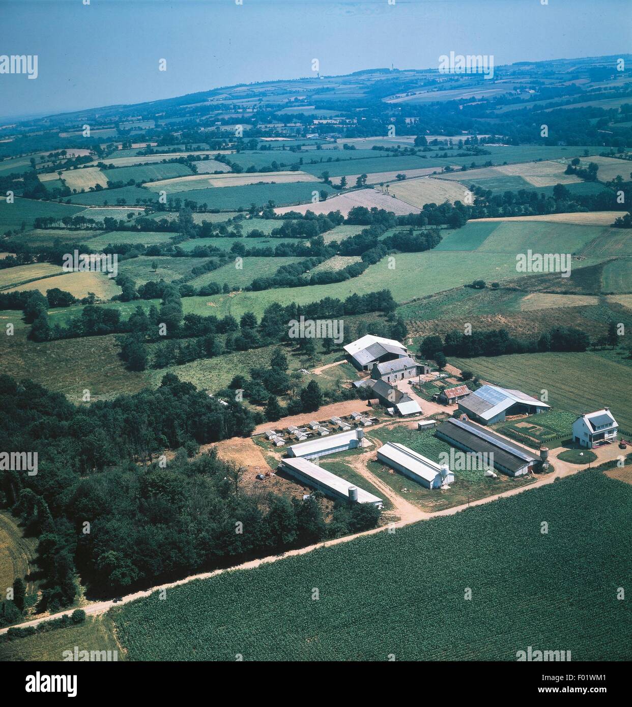 Nenez hi-res stock photography and images - Alamy