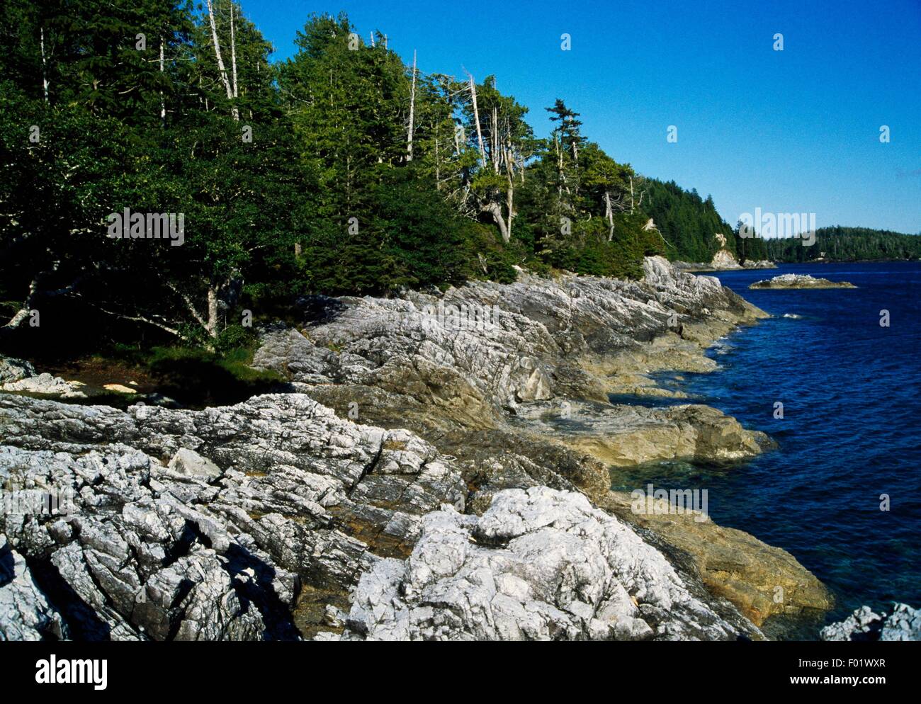 British ecology hi-res stock photography and images - Alamy