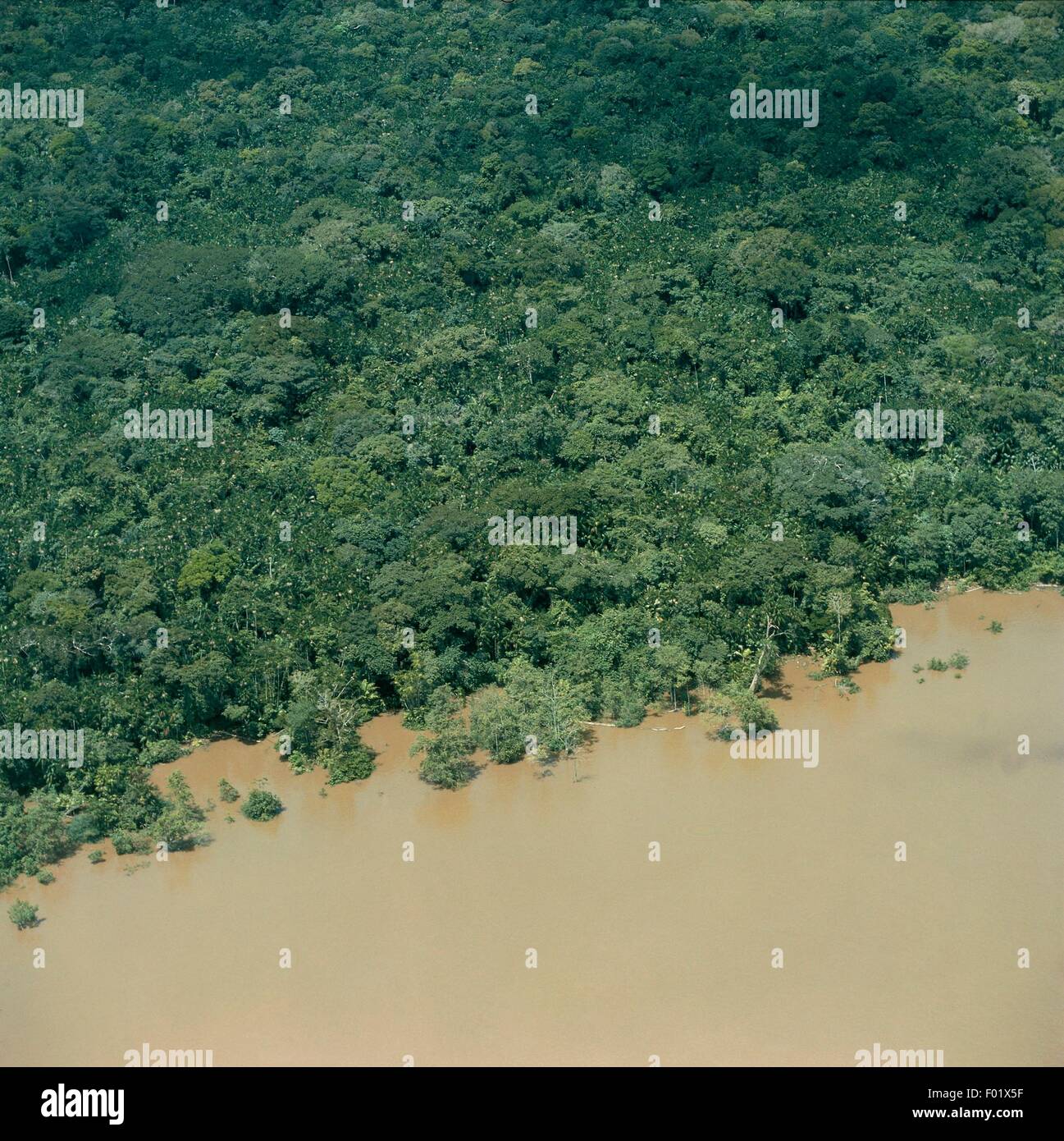 Aerial view of the Amazon Rainforest along the Amazon River, Brazil ...