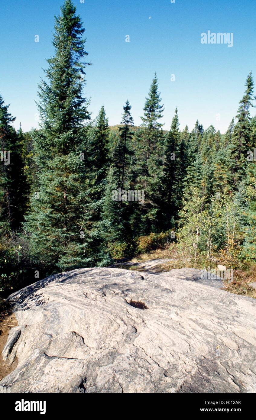 Big bend lookout hi-res stock photography and images - Alamy