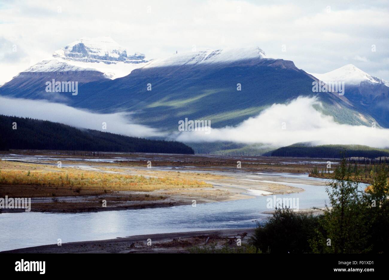 View of the Bow River valley, Banff National Park (UNESCO World ...