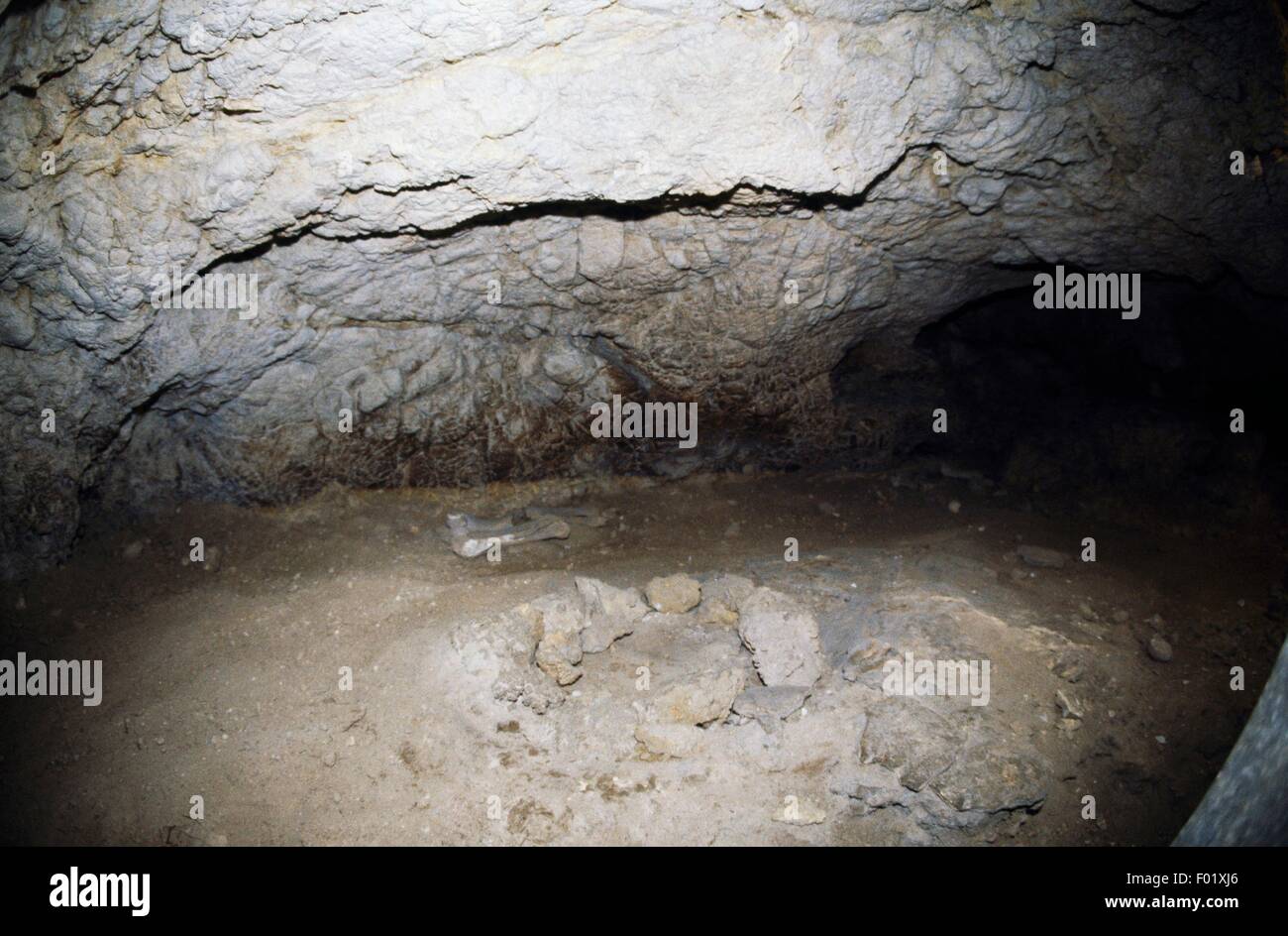 Antro dell'Uomo (Cave of the Man) in the Guattari Cave, Monte Circeo ...