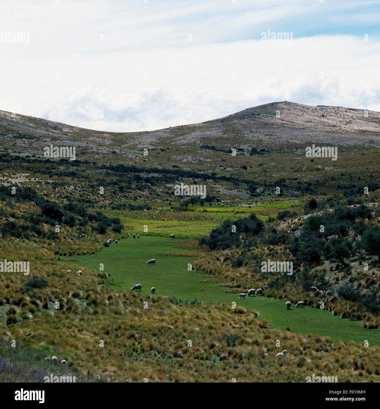 Otematata hi-res stock photography and images - Alamy