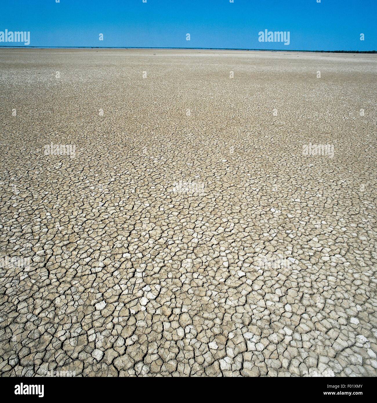 Effects of drought on the land in a salt pan lake, Lake Eyre, South ...