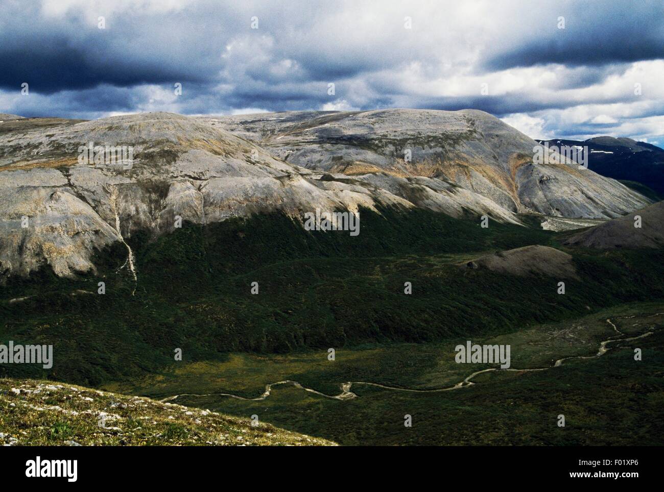 Landscape of the Barrens (treeless hills) and the tundra, Mackenzie ...