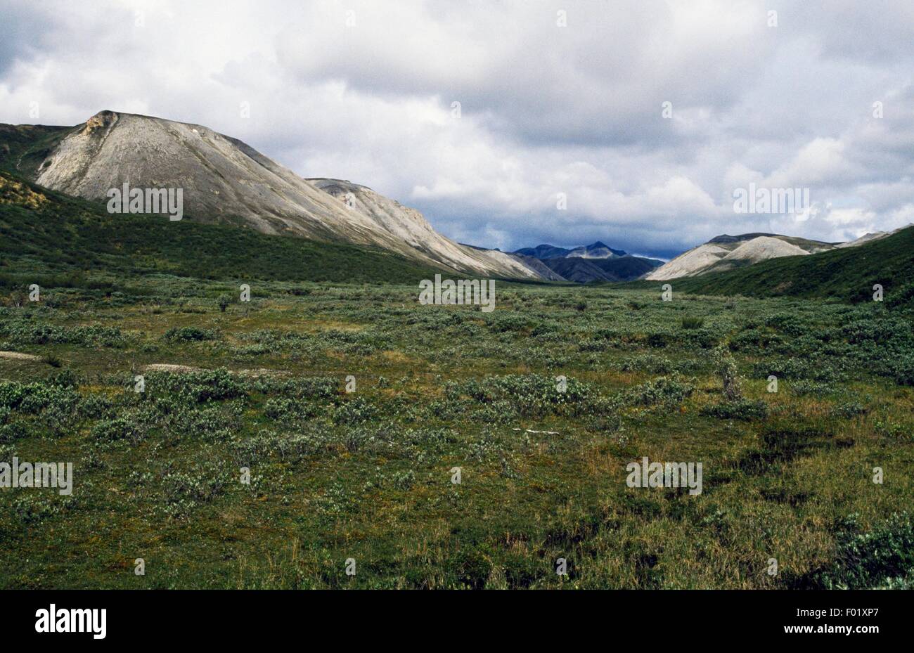 Landscape of the Barrens (treeless hills) and the tundra, Mackenzie ...