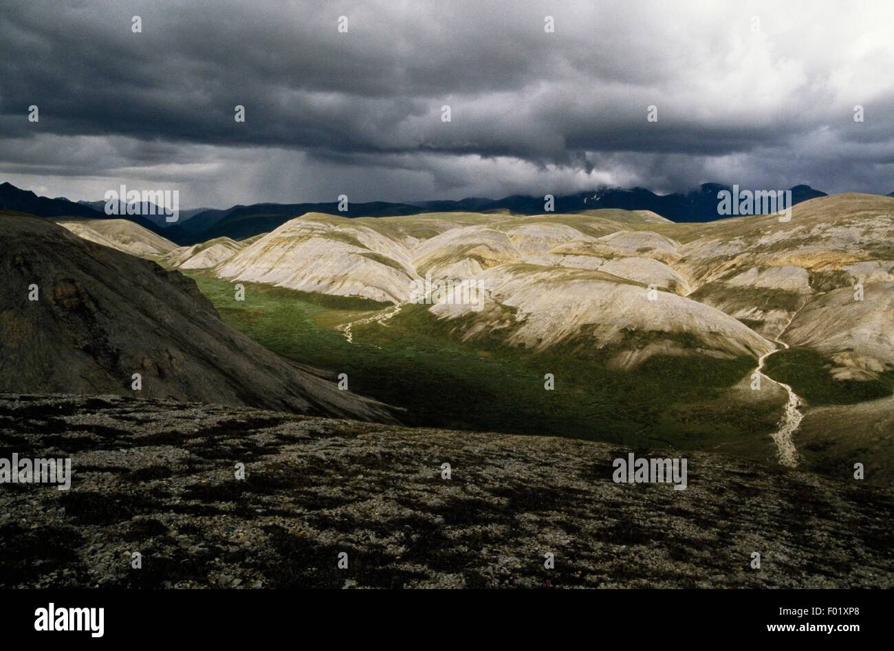 Landscape of the Barrens (treeless hills), the tundra with the ...
