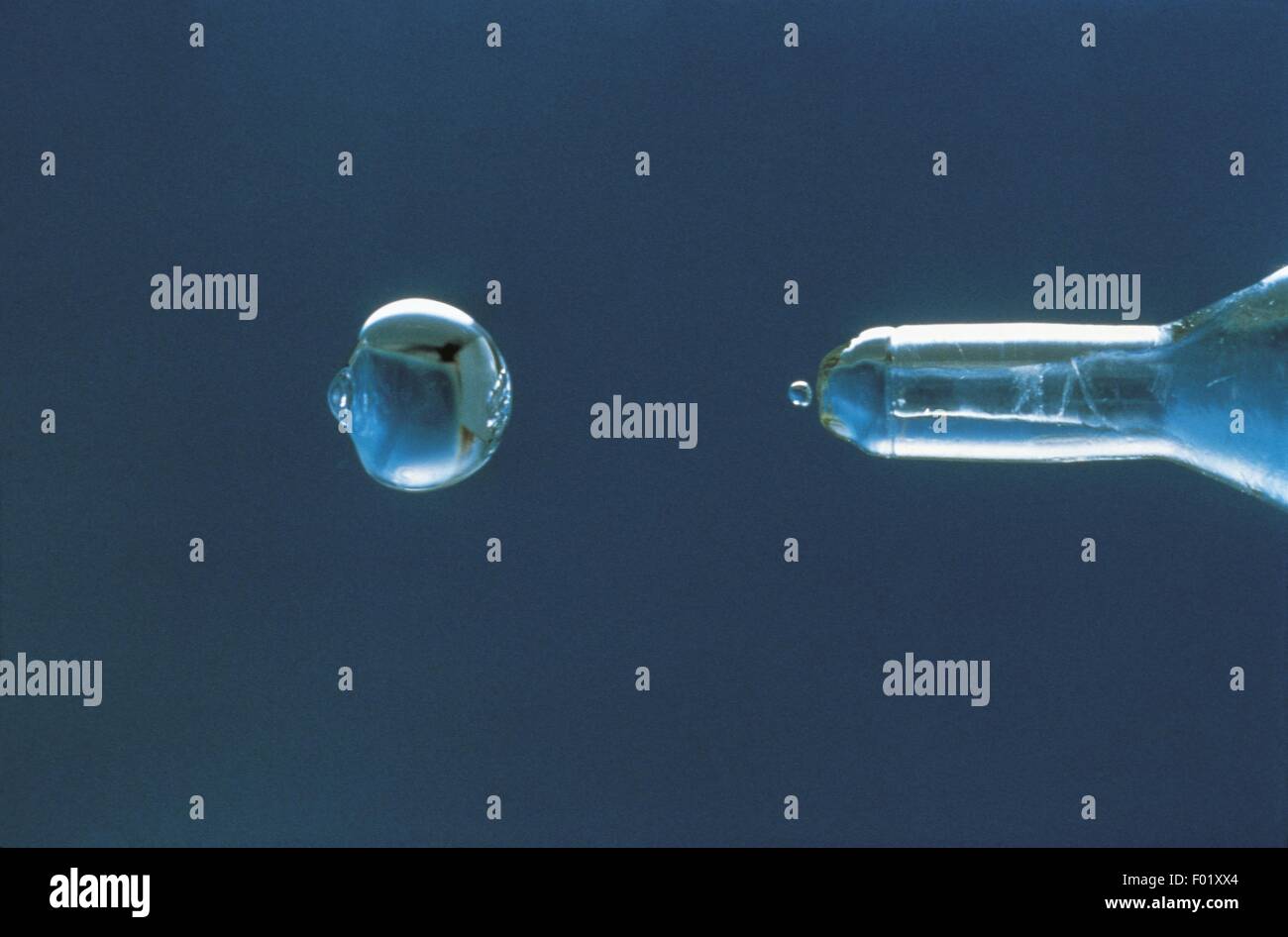Meteorology: dew drop Stock Photo - Alamy