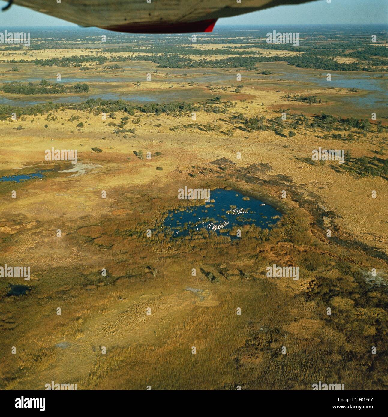 Aerial view of the okawango delta hi-res stock photography and images ...