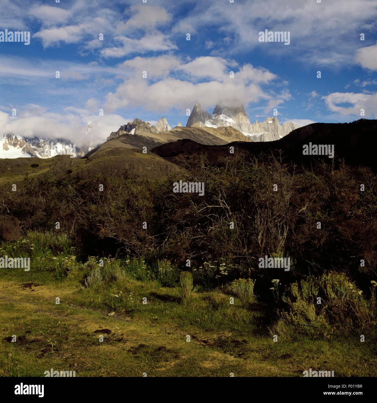 View of Cerro Torre and Cerro Chalten (or Cerro Fitz Roy) from Rio Fitz ...