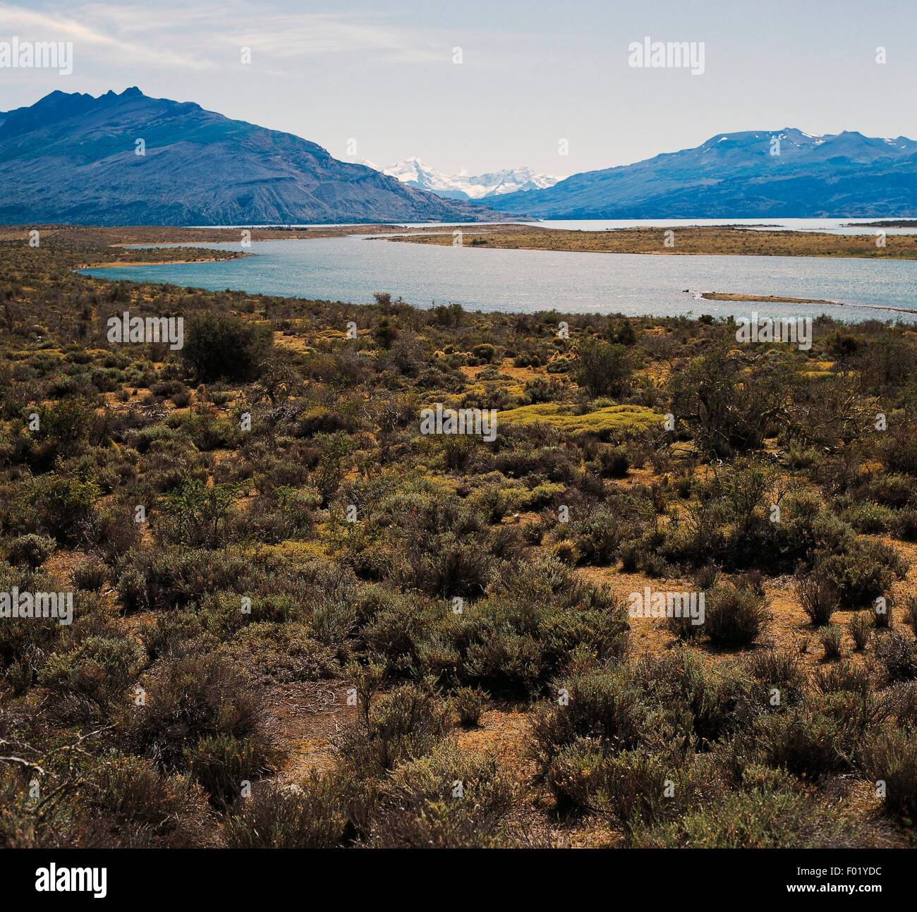 Lagoons in the Puerto Bandera area, Lake Argentino, Los Glaciares ...