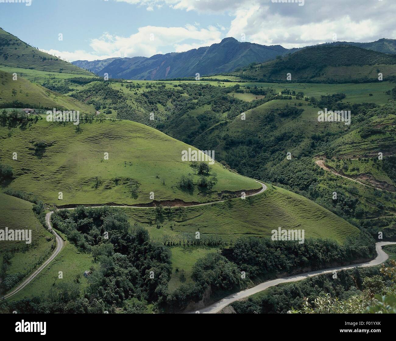 Mountain road, Cordillera Central, Colombian Andes, Colombia Stock ...